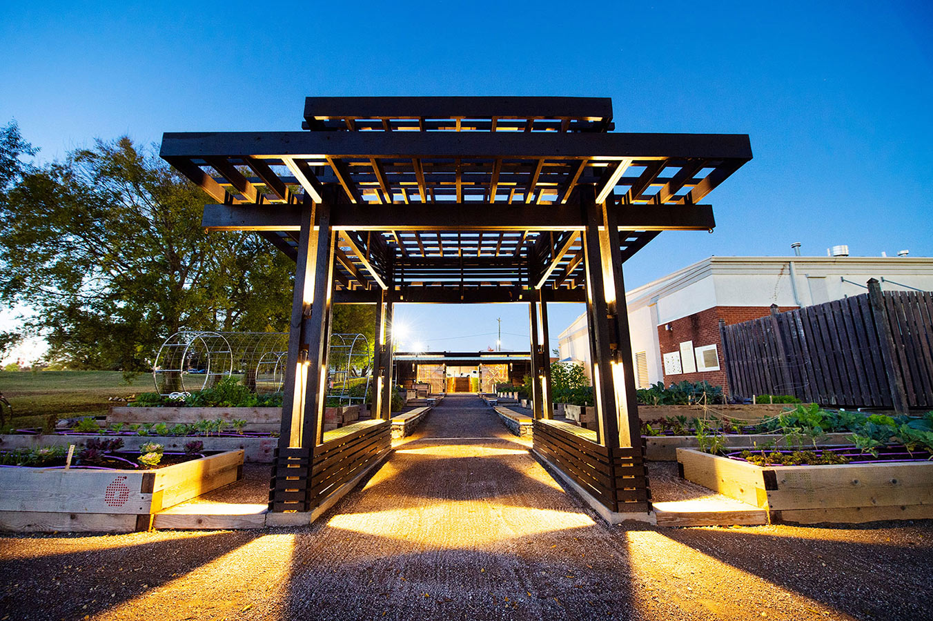 Student collaboration in MSU Community Garden bears first fruits ...